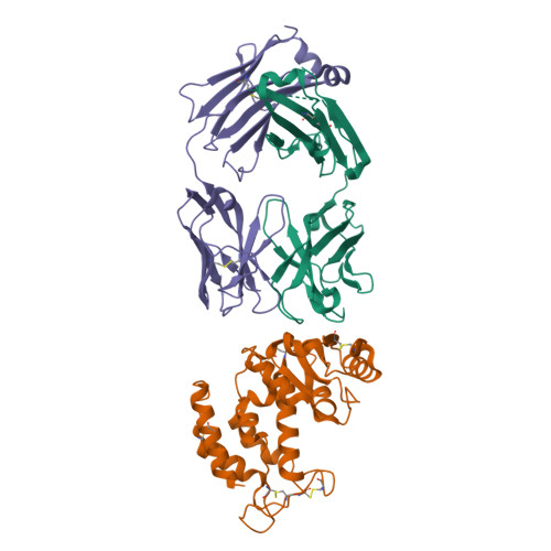 RCSB PDB - 7DUO: Crystal structure of daratumumab fab and CD38 complex