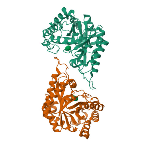 RCSB PDB - 7DW8: Structure of a novel beta-mannanase BaMan113A with ...