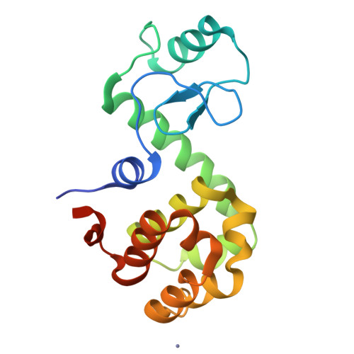 RCSB PDB - 7DWS: The structure of T4 Lysozyme I3C/C54T/R125C/E128C ...