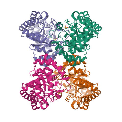 RCSB PDB - 7DZ2: Crystal structures of D-allulose 3-epimerase from ...