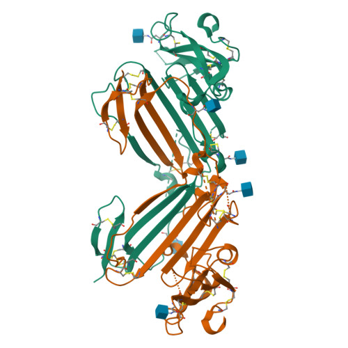 RCSB PDB - 7E17: Structure of dimeric uPAR