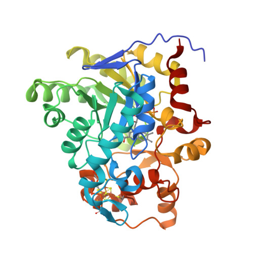 RCSB PDB - 7E1Q: Crystal structure of dehydrogenase/isomerase FabX from ...