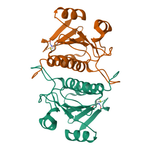 RCSB PDB - 7E3R: Crystal structure of TrmL from Vibrio vulnificus