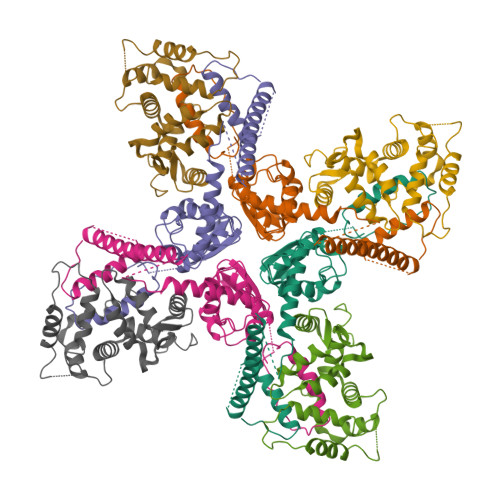 RCSB PDB - 7E83: CryoEM structure of the human Kv4.2-KChIP1 complex ...