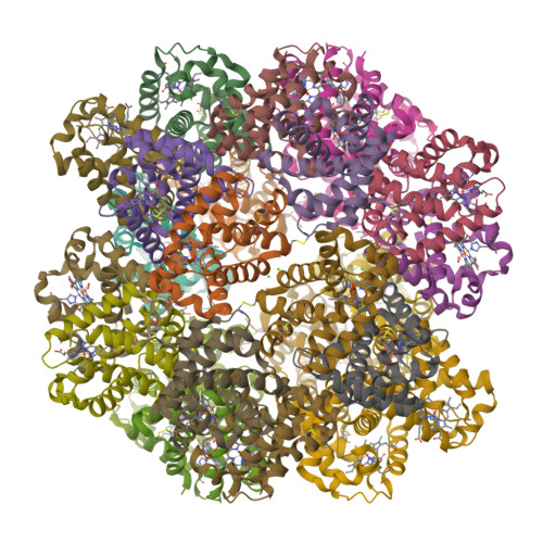 RCSB PDB - 7E96: Oxy-deoxy intermediate of 400 kDa giant hemoglobin at ...