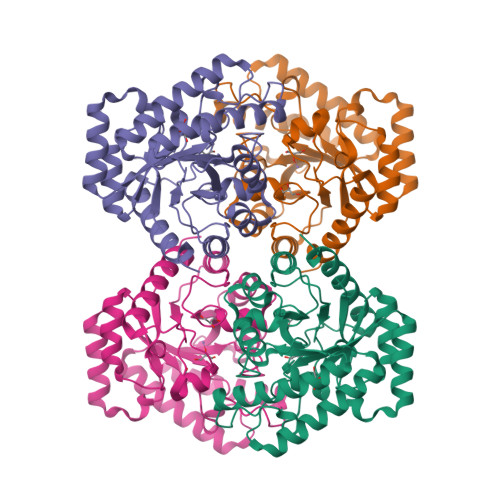 RCSB PDB - 7E9W: The Crystal Structure of D-psicose-3-epimerase from ...