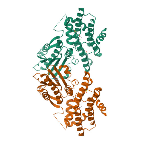RCSB PDB - 7EA0: Crystal structure of human pyruvate dehydrogenase ...