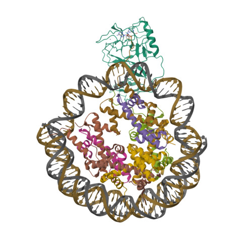 RCSB PDB - 7EA8: Human SETD2 bound to a nucleosome containing ...