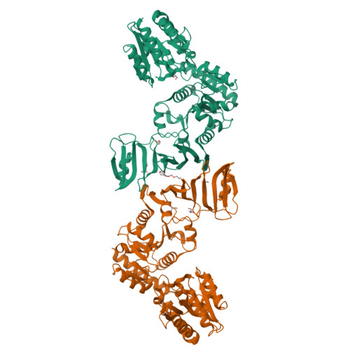 RCSB PDB - 7EC1: Crystal structure of SdgB (ligand-free form)