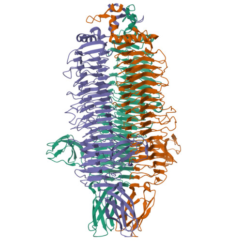 RCSB PDB - 7EEA: Cyanophage Pam1 tailspike receptor-binding domain