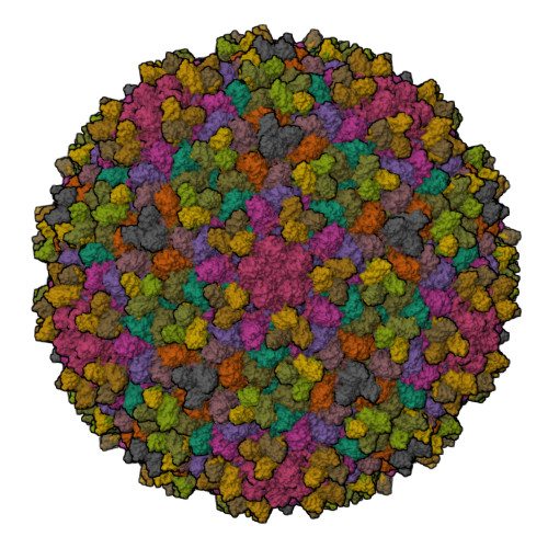 RCSB PDB - 7EEL: Cyanophage Pam1 capsid asymmetric unit