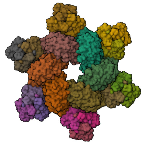 RCSB PDB - 7EEQ: Cyanophage Pam1 tail machine