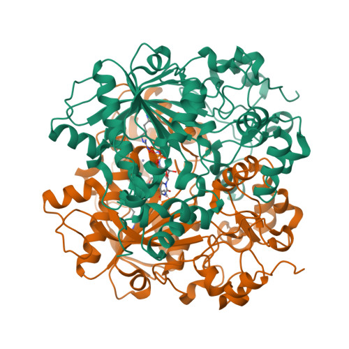 RCSB PDB - 7EEV: Structure of UTP cyclohydrolase