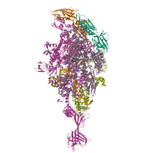 RCSB PDB - 7EH2: Thermus thermophilus transcription initiation complex ...