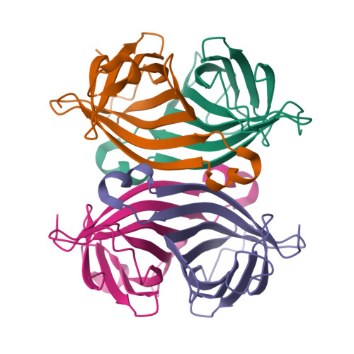 RCSB PDB - 7EK8: Crystal structure of apo streptavidin at ambient ...