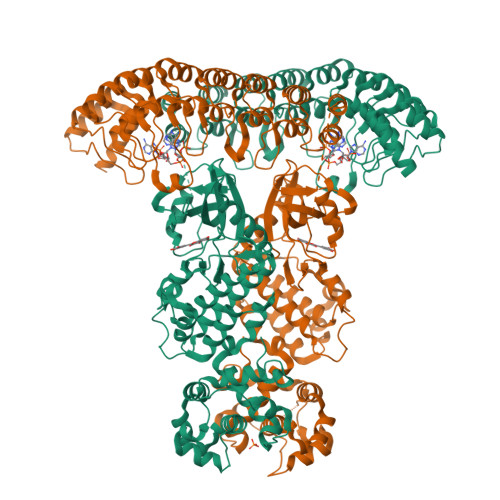 RCSB PDB - 7ELW: Crystal structure of RNase L in complex with Myricetin