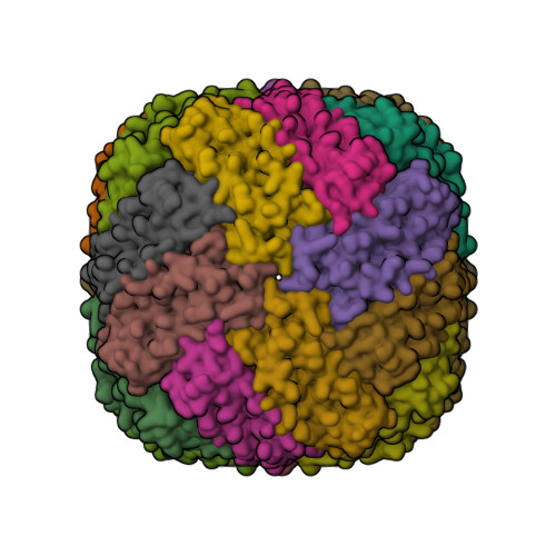 RCSB PDB - 7EMK: Dendrorhynchus zhejiangensis ferritin