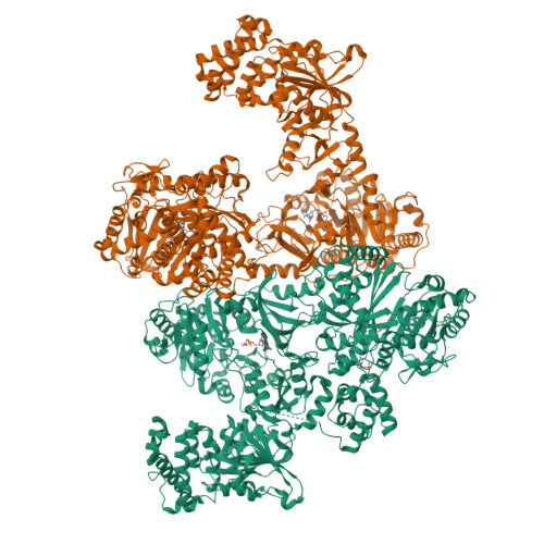 RCSB PDB - 7EN1: Pyochelin synthetase, a dimeric nonribosomal peptide ...