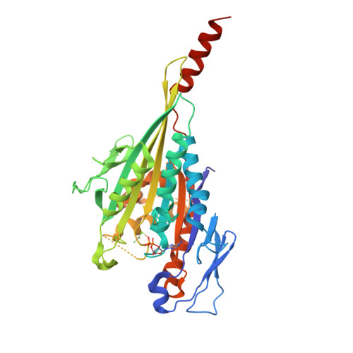 RCSB PDB - 7EO9: Crystal structure of KIF1A Motor-Neck domain with ADP ...
