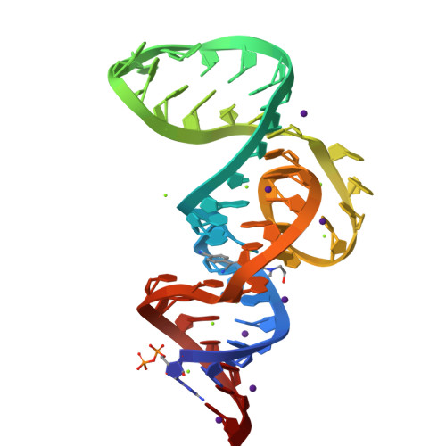 RCSB PDB - 7EOJ: Crystal structure of the Pepper aptamer in complex ...