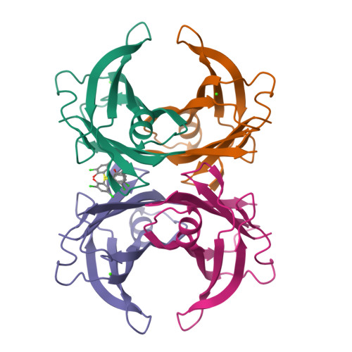 RCSB PDB - 7ERH: Crystal structure of WT-TTR in complex with bithionol