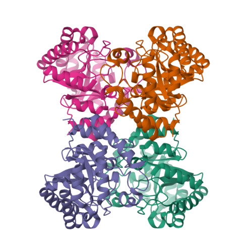 RCSB PDB - 7ERN: Crystal structure of D-allulose 3-epimerase with D ...
