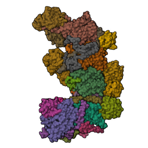 RCSB PDB - 7EU3: Chloroplast NDH complex