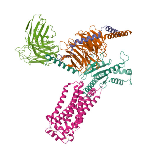 RCSB PDB - 7EW0: Cryo-EM structure of ozanimod -bound Sphingosine-1 ...