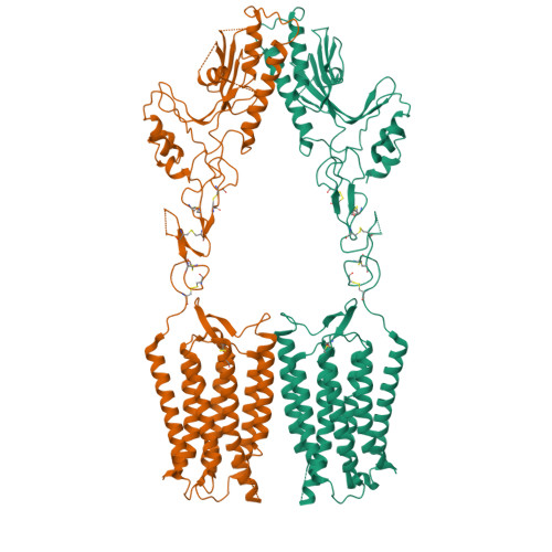 RCSB PDB - 7EWL: cryo-EM structure of apo GPR158