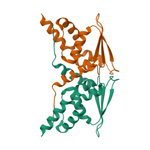 RCSB PDB - 7EXI: Crystal structure of the BTB domain human Keap1
