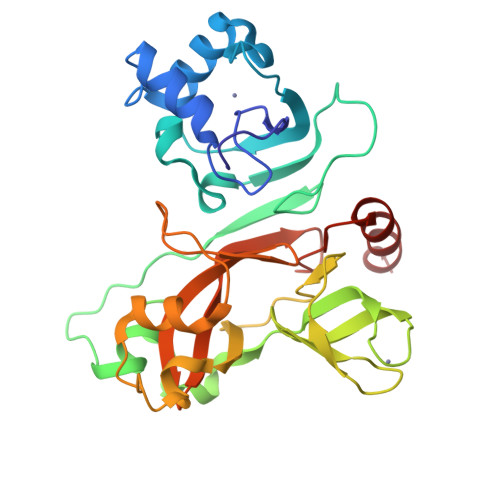RCSB PDB - 7EXM: The N-terminal crystal structure of SARS-CoV-2 NSP2