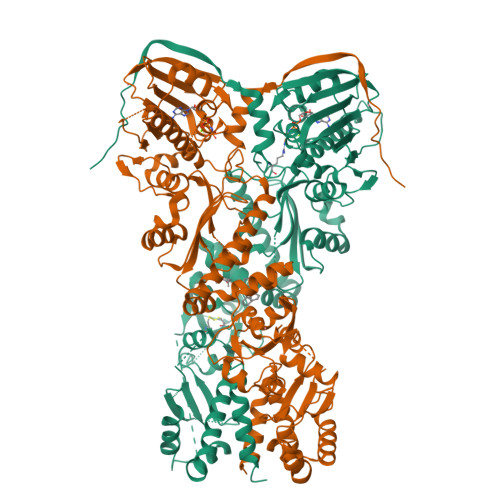 RCSB PDB - 7EXP: Crystal structure of zebrafish TRAP1 with AMPPNP and MitoQ