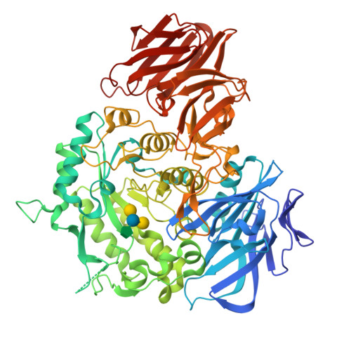 RCSB PDB - 7EXR: Crystal structure of alkaline alpha-galactosidase ...