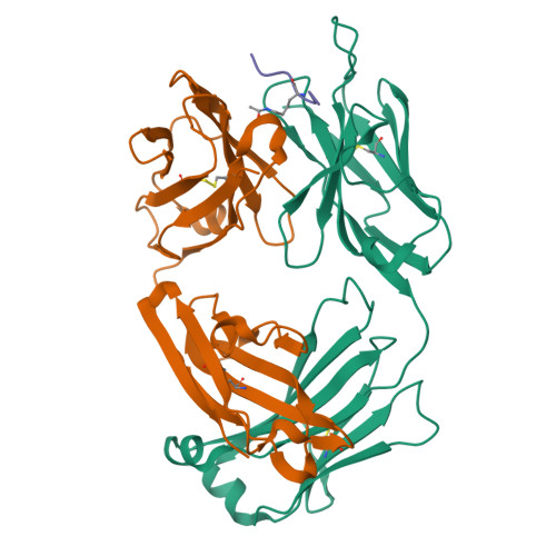 RCSB PDB - 7EYC: Crystal structure of Tau and acetylated tau peptide ...