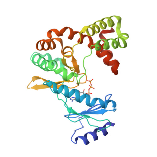 RCSB PDB - 7F0B: Crystal structure of capreomycin phosphotransferase in ...