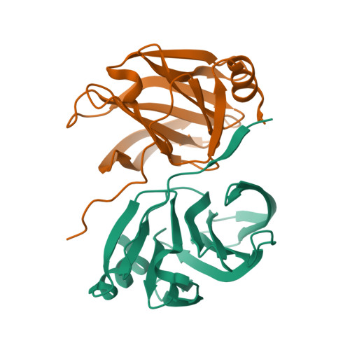 RCSB PDB - 7F0H: Structural and functional characterization of bovine ...