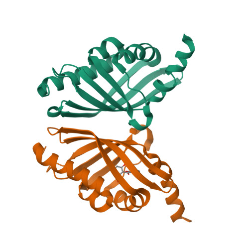 RCSB PDB - 7F10: Crystal structure of NsrQ M128I in complex with ...