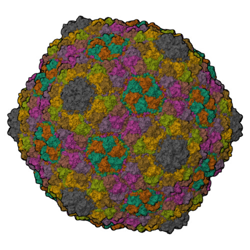 RCSB PDB - 7F38: Cyanophage A-1(L) capsid asymmetric unit