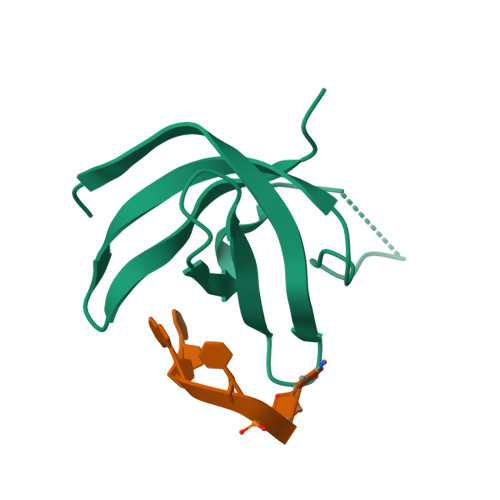 RCSB PDB - 7F3L: Crystal structure of human YBX2 CSD in complex with ...