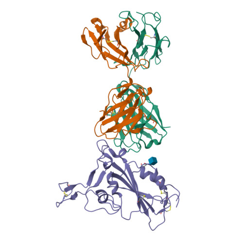 RCSB PDB - 7F7E: SARS-CoV-2 S protein RBD in complex with A5-10 Fab