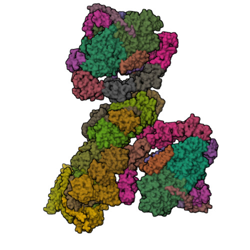 RCSB PDB - 7F9O: PSI-NDH supercomplex of Barley