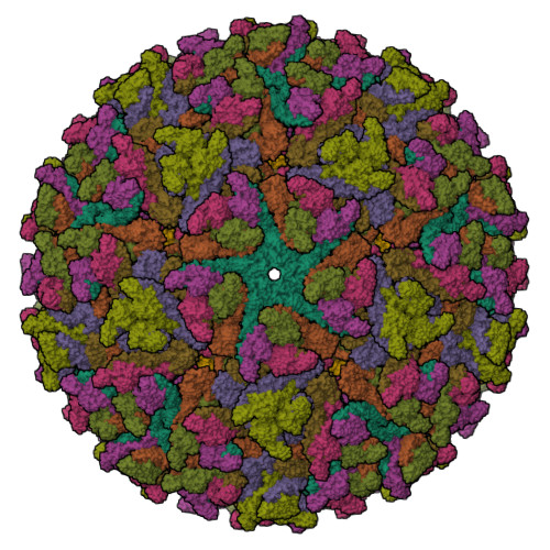 RCSB PDB - 7FD2: Cryo-EM structure of an alphavirus, Getah virus