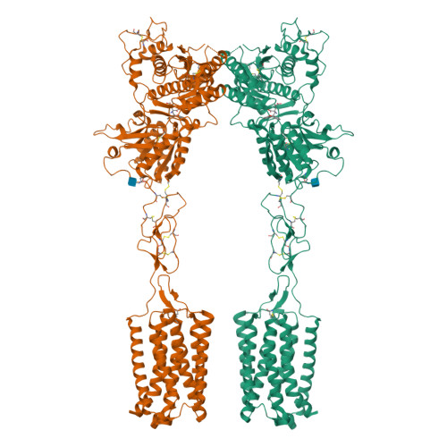 RCSB PDB - 7FD9: Thermostabilised full length human mGluR5-5M with ...
