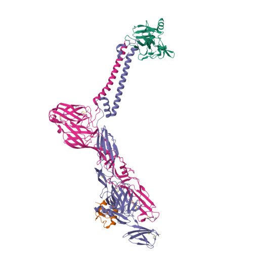 RCSB PDB - 7FFO: Cryo-EM structure of VEEV VLP at the 5-fold axes