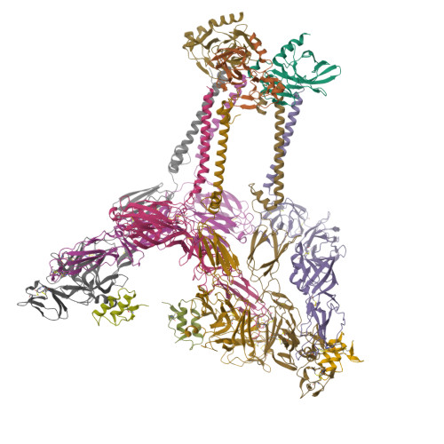 RCSB PDB - 7FFQ: Cryo-EM structure of VEEV VLP at the 2-fold axes