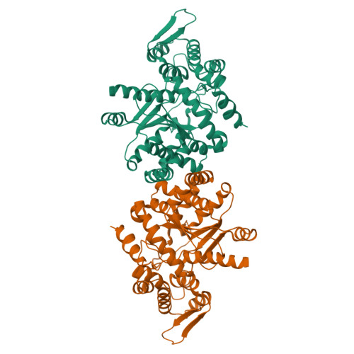 RCSB PDB - 7FG6: Crystal structure of the Tyrosyl-tRNA synthetase ...
