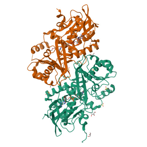 RCSB PDB - 7FGP: Crystal structure of Aureimonas altamirenisis flavin ...