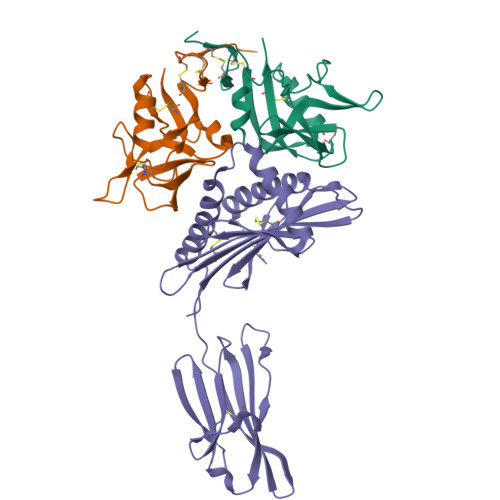 RCSB PDB - 7FI8: Crystal structure of human MICA mutants in complex ...