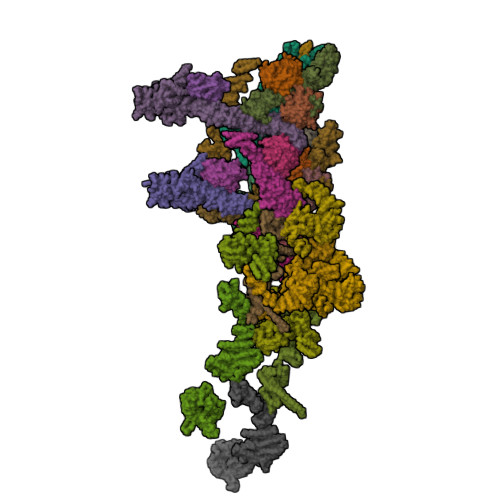 RCSB PDB - 7FIK: The cryo-EM structure of the CR subunit from X. laevis NPC