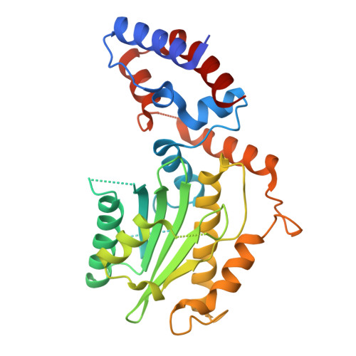 RCSB PDB - 7FIU: Crystal structure of the DUB domain of Wolbachia ...